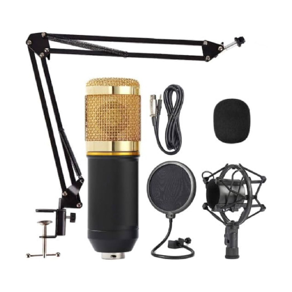 Buy Online Legendary Vocal Professional Condenser Microphone V9 in ...