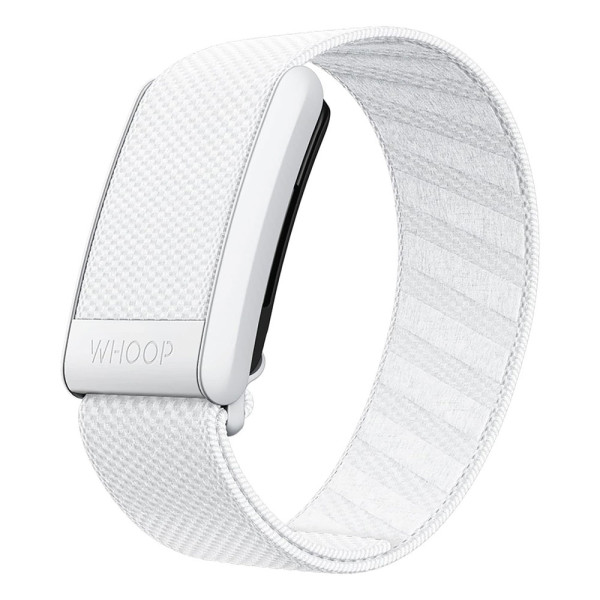 Buy Online WHOOP - Accessory SuperKnit Band 4.0 - Arctic in Qatar- Tccq.com